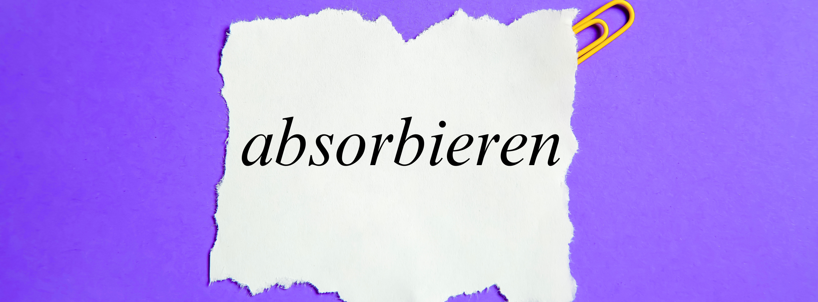 „Absorbieren“: Bedeutung und Beispiele | Parlai Blog